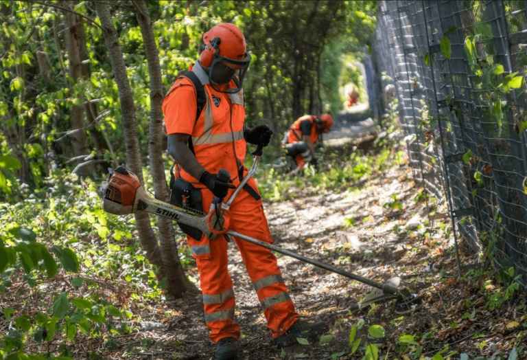 AGS One | Services | Vegetation Control